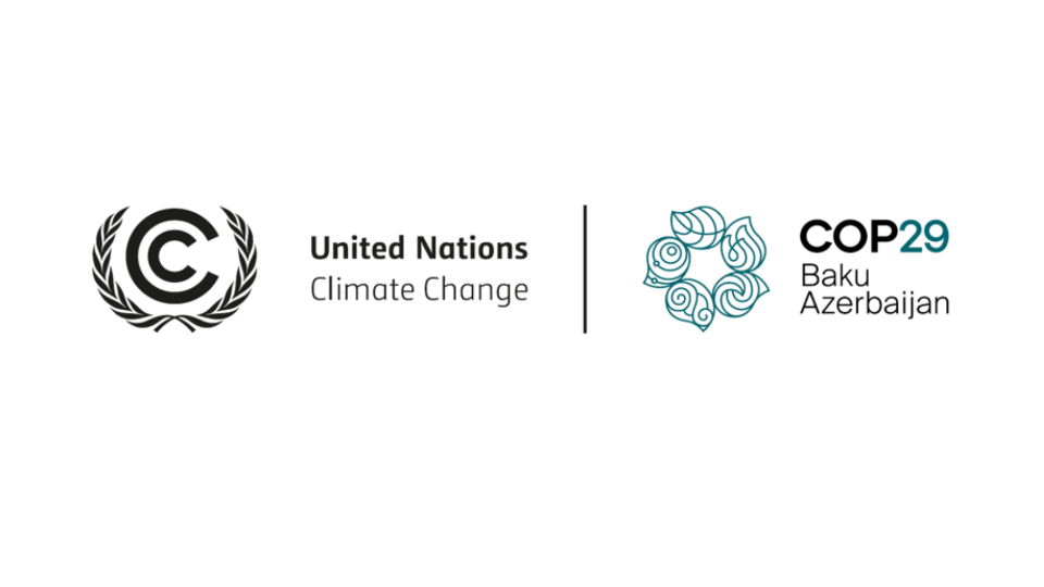 ICN marks COP29 Health Day with strengthened Position Statement calling for urgent climate ...